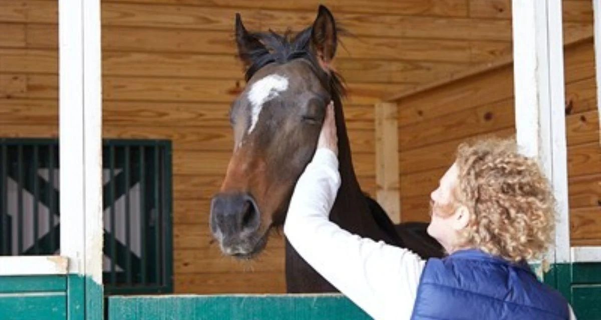 Second Stride's Barn and Stable PArty on May 3, 2026 - Business Daily