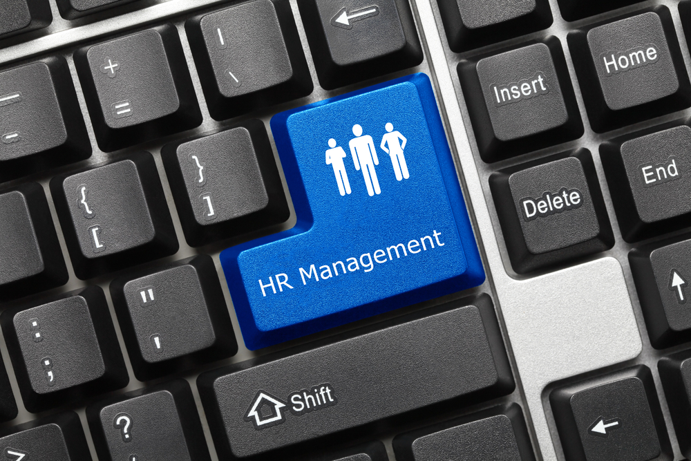 Hollander Sleep Products needs HR operations director - HR Daily Wire