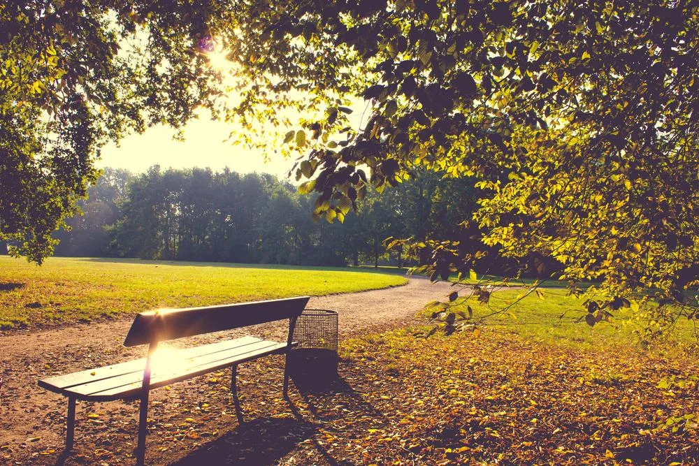 THE CITY OF ANN ARBOR - GOVERNMENT: Park Planning to be held Nov. 12 ...