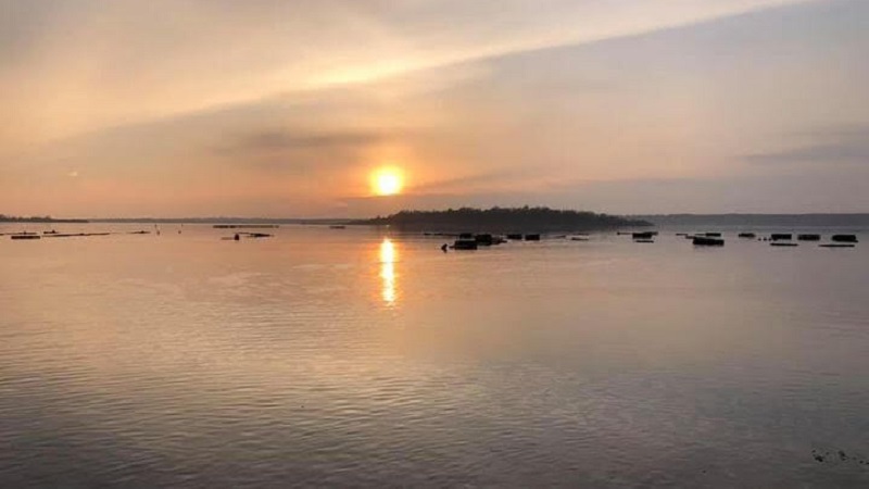 Tiny But mighty: Sunset Beach Aquaculture Preserves a Marine Treasure ...
