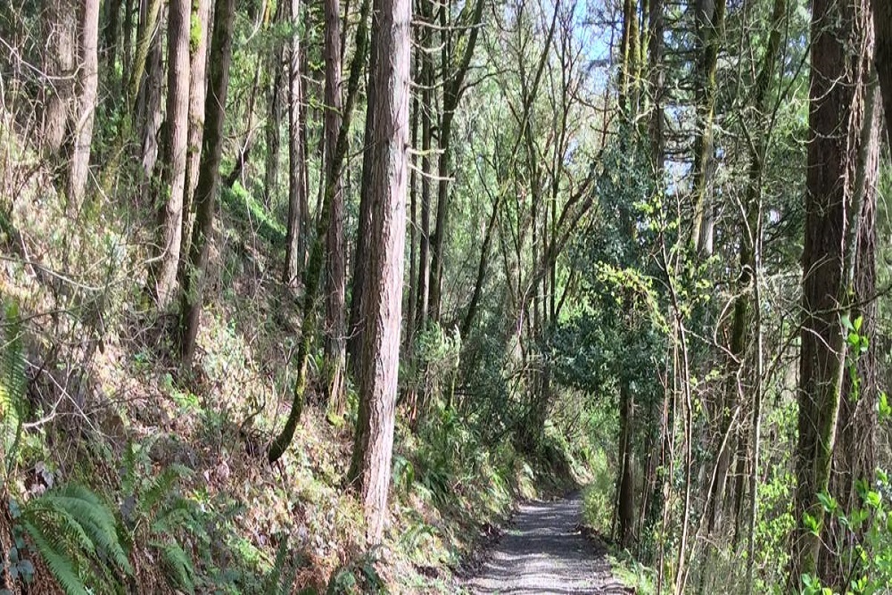 ANN ARBOR COUNCILMAN JEFF HAYNER (D-WARD 1): December Events with NAP ...