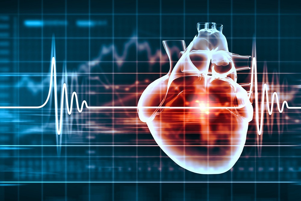 HEARTVISTA: Receives FDA 510(k) Clearance for One Click™ Cardiac MRI ...