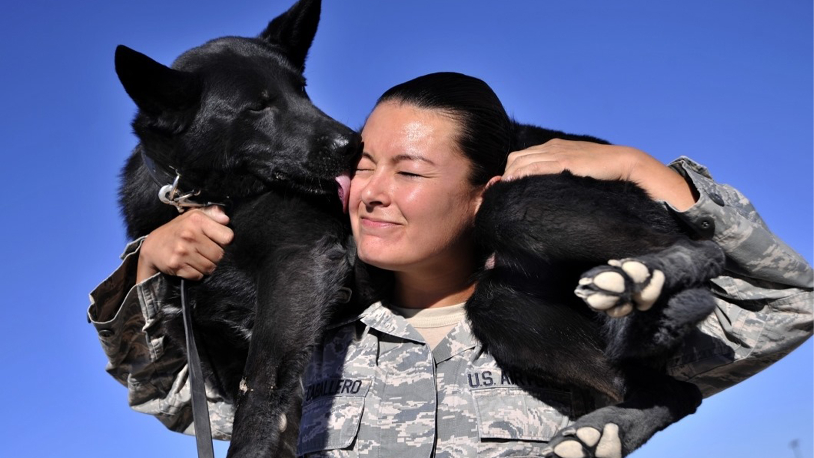 Warrior Companion launches initiative to ‘help heroes deal with daily ...