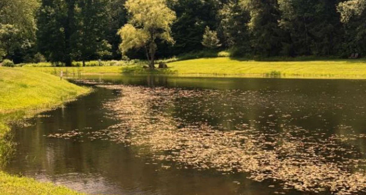6th Annual Farm Road Music Fest on July 04, 2026 - Business Daily