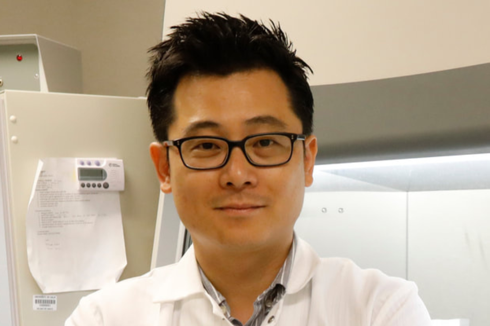 Implantable Piezoelectric Polymer Improves Controlled Release Of Drugs ...