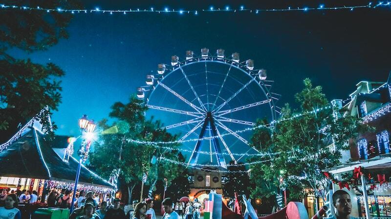 Southern Oregon Lavender Trail Festival Weekend! - Business Daily